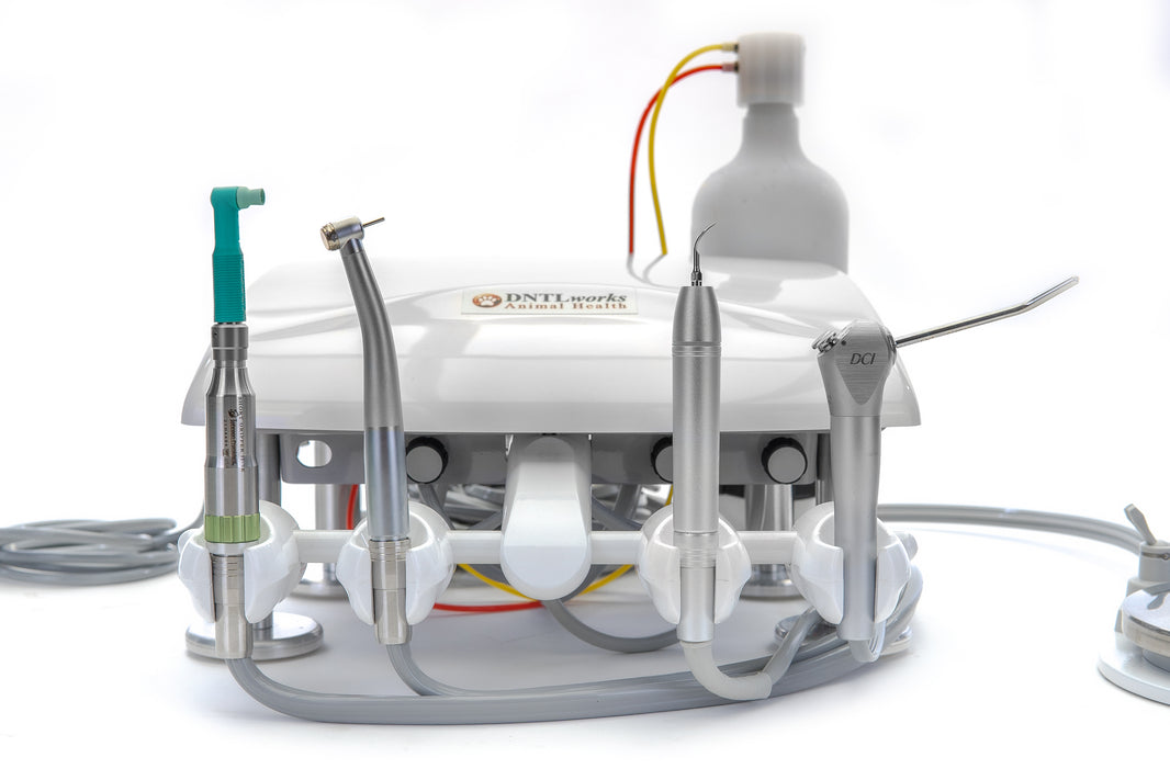 Dental Delivery Units – Dntlworks Animal Health